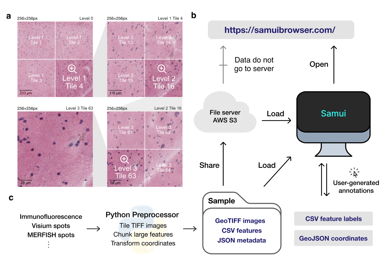 Performant web-based interactive visualization tool for spatially ...