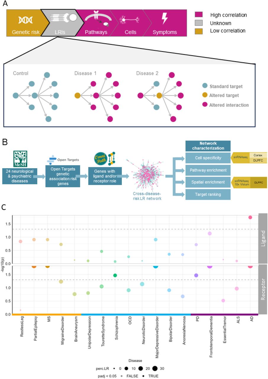 Network nature of ligand-receptor interactions underlies disease ...